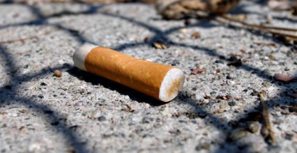 Basta cicche e chewingum per terra, Legambiente scrive ai Comuni ...