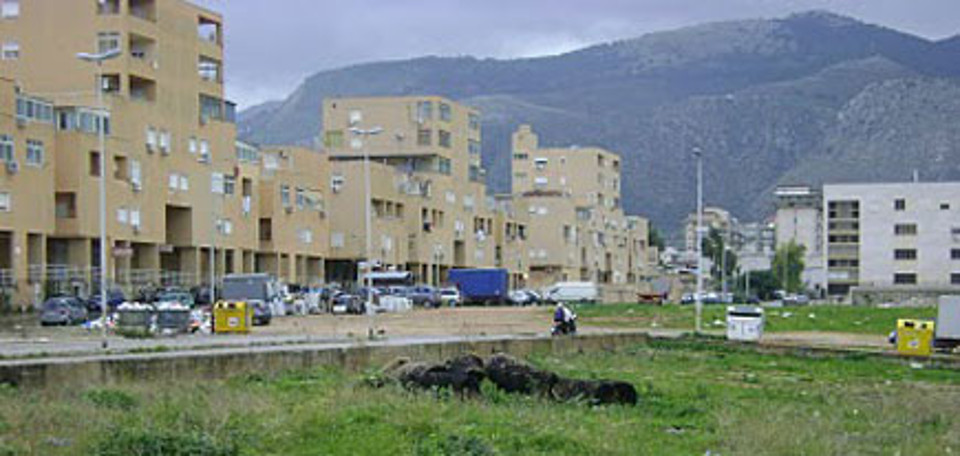 "Battaglia quotidiana per la sopravvivenza", l'associazione Zen Insieme ...