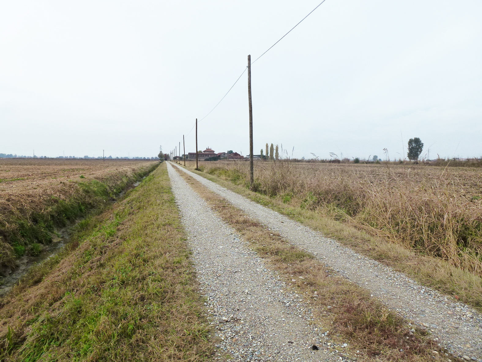 50 milioni di euro per le 'strade di campagna', finanziati 78 progetti ...