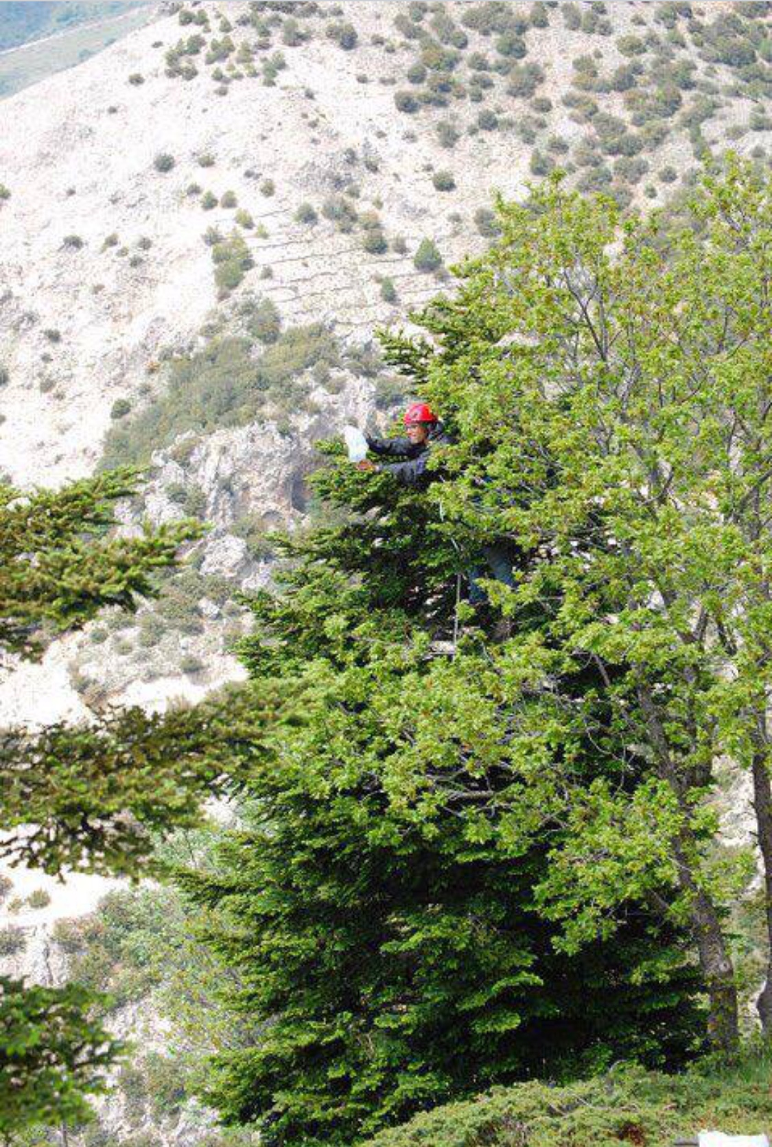 Mufara Fest, escursione guidata alla scoperta del vallone Madonna degli ...