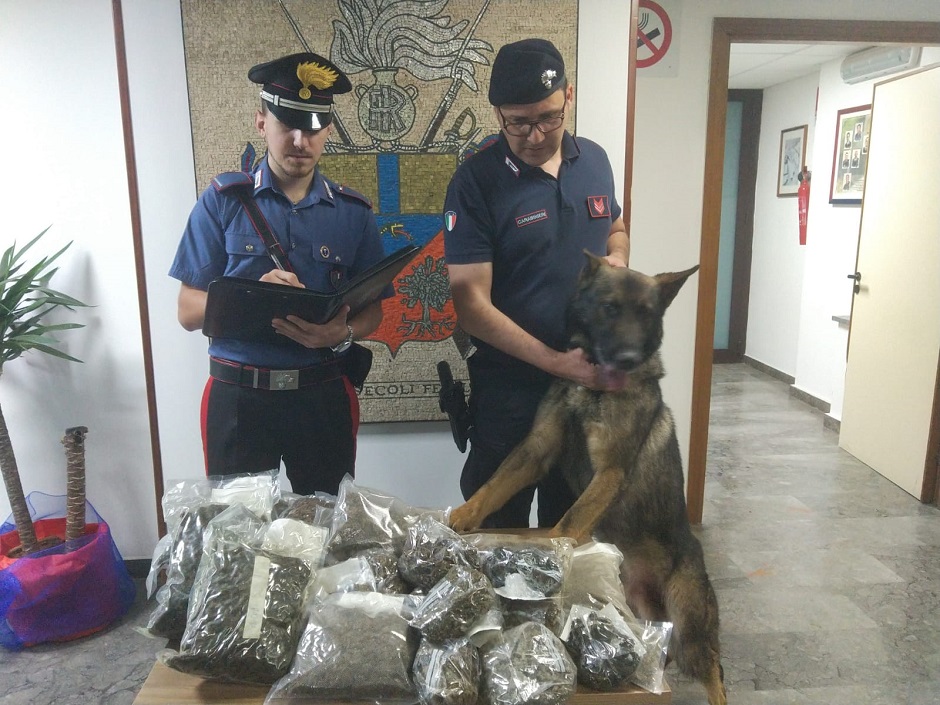 Monreale, i carabinieri sequestrano 4 chili e mezzo di marijuana grazie ...