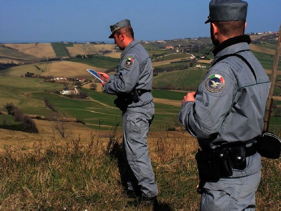 Forestali in Sicilia, inserimento nelle graduatorie entro il prossimo ...
