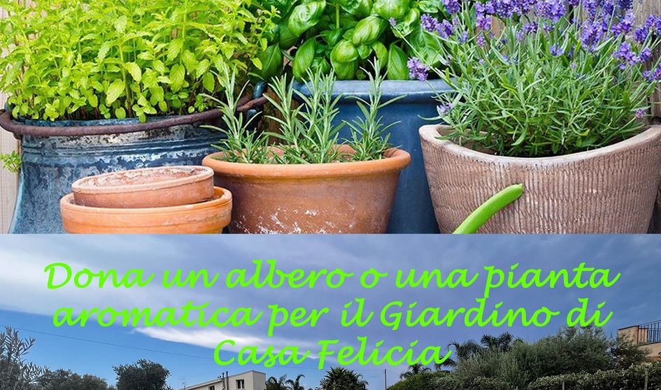 Un giardino nel Palermitano per ricordare le vittime di mafia, appello ...