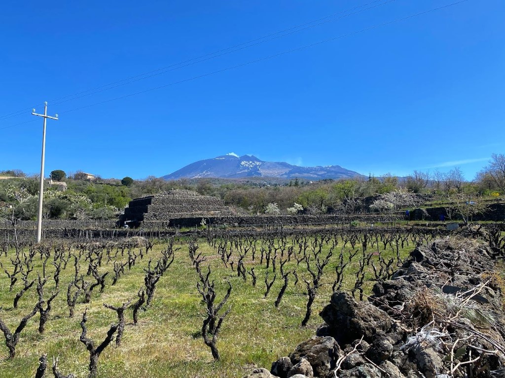 Al via il primo Biancavilla Etna Wine Forum, i vini siciliani ...