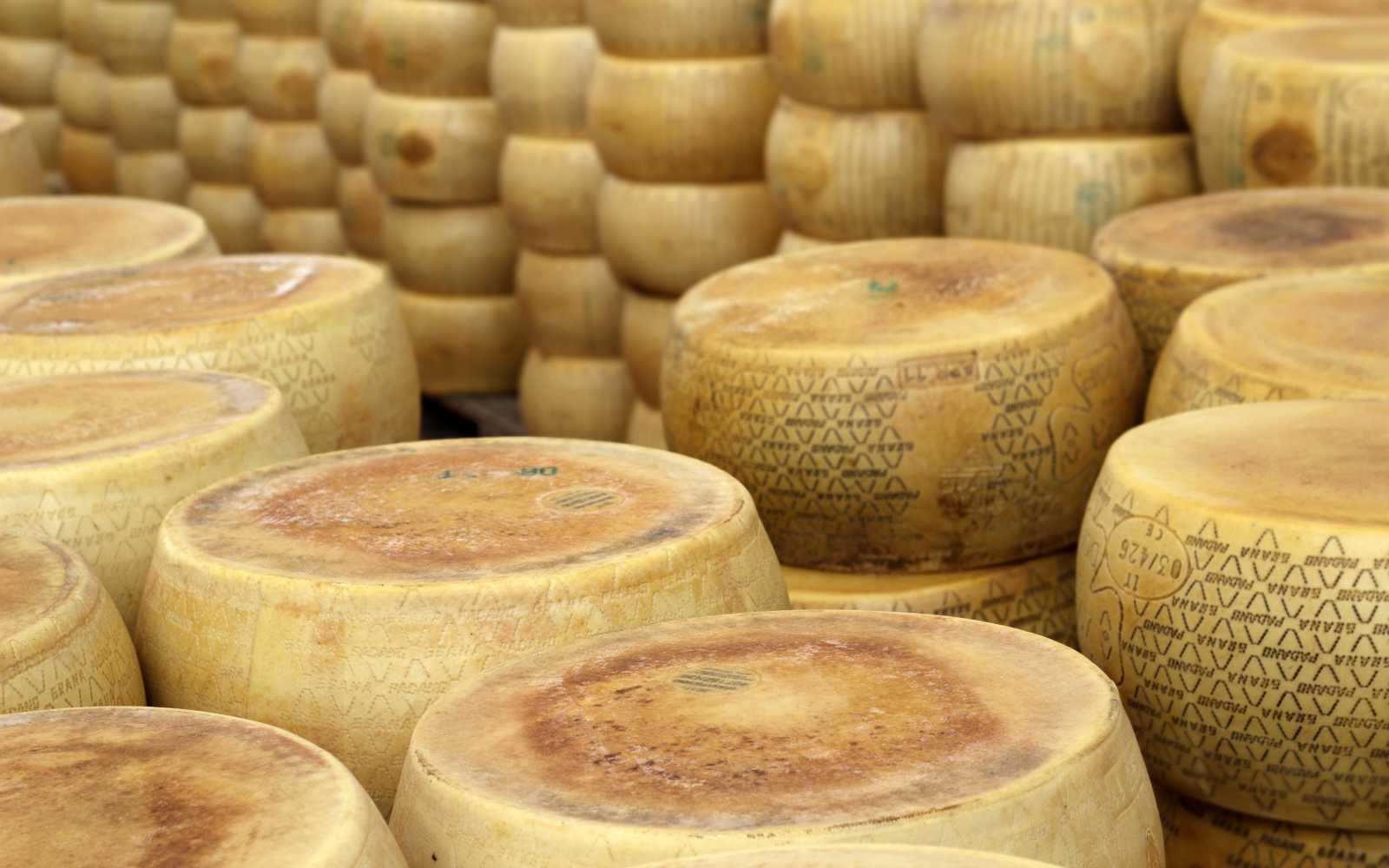 Imprenditore travolto e ucciso dal crollo di 25.000 forme di Grana Padano