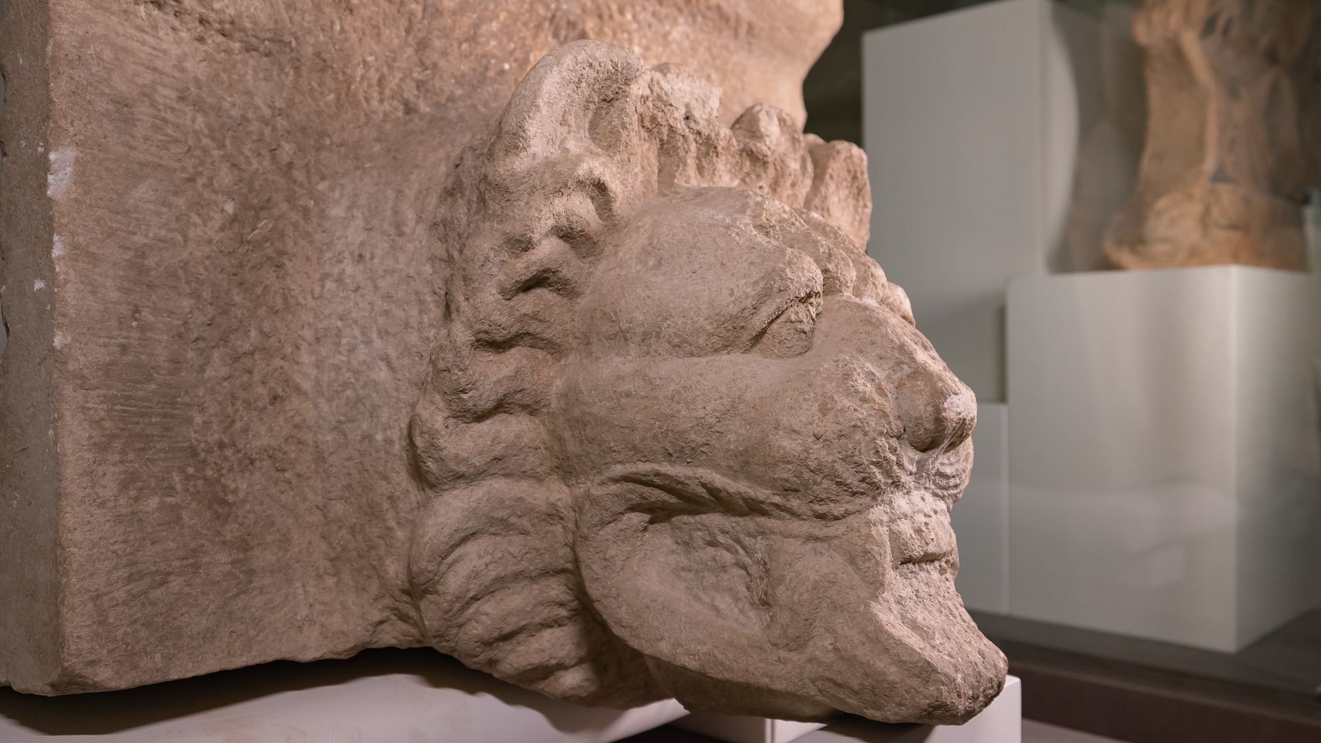 Archeologia, Scarpinato: «Ritrovata antica sima con testa di leone ...