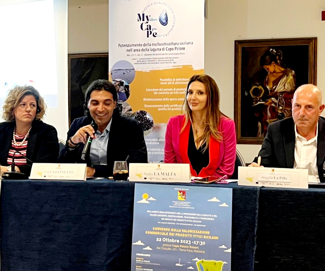 Pesca, si conclude a Messina progetto dell'assessorato su ...