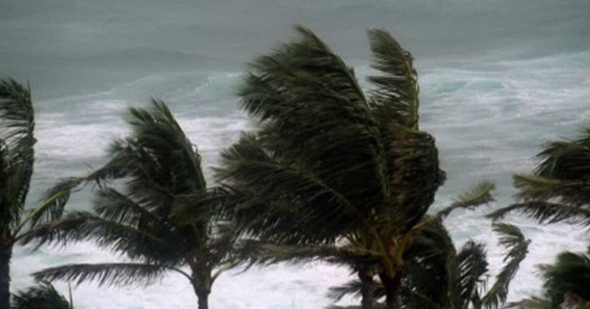 Piogge e venti di burrasca in Sicilia, è ancora allerta gialla per il maltempo in tutta l'isola ...