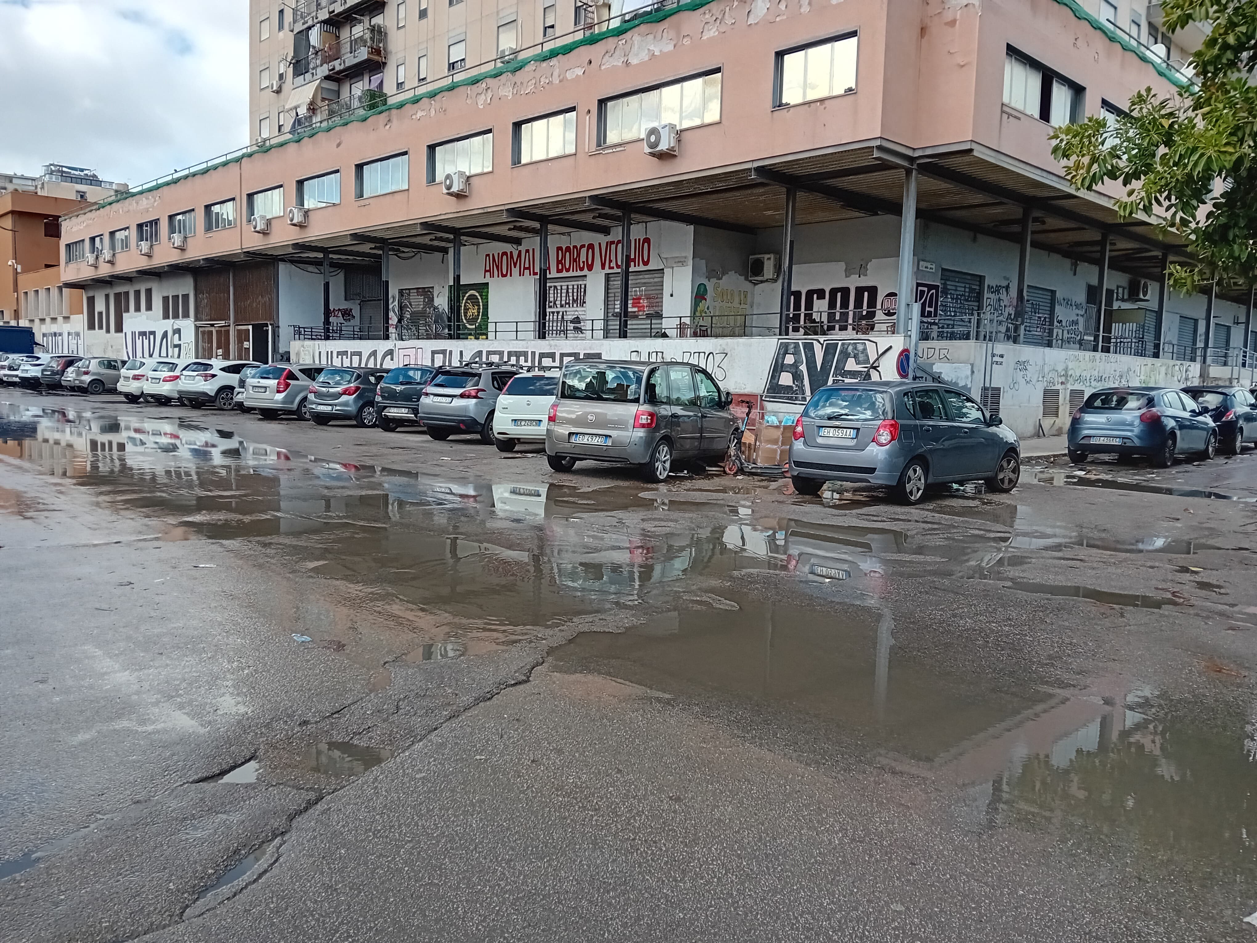 Sotto l'albero c'è l'acqua di fogna, il brutto Natale vissuto a Borgo ...