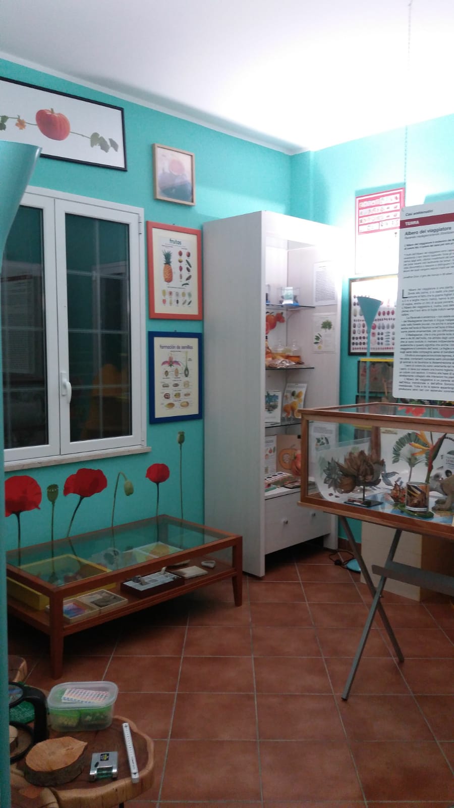 Il primo museo delle biodiversità a Monreale, il concerto della natura ...