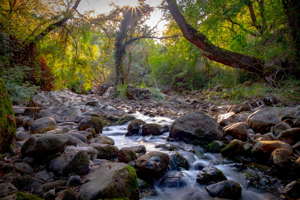 Alla scoperta del Fiume Oreto: escursione naturalistica domenica ad ...