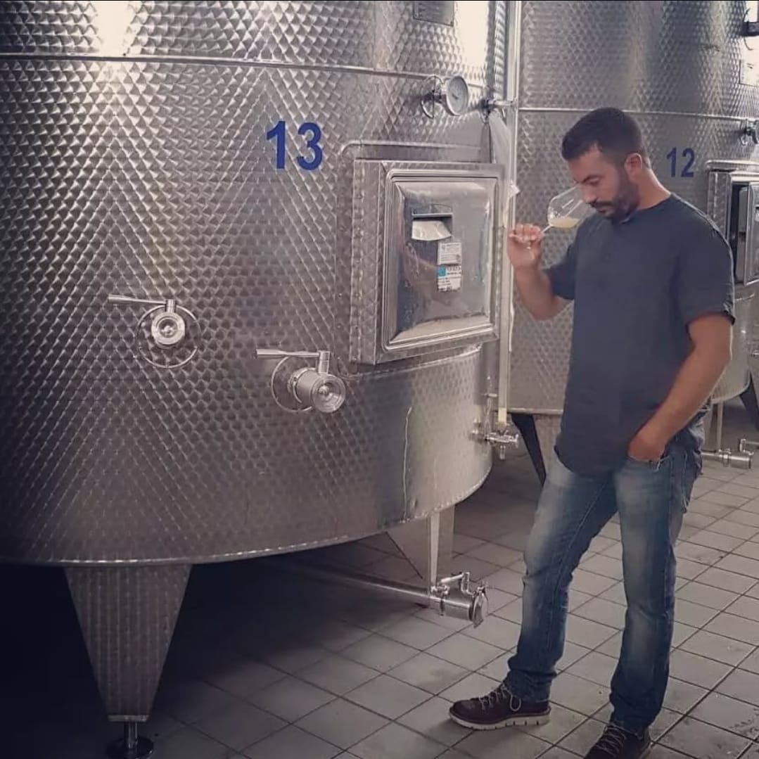 Trapani. La prima cantina urbana completa la filiera con l ...