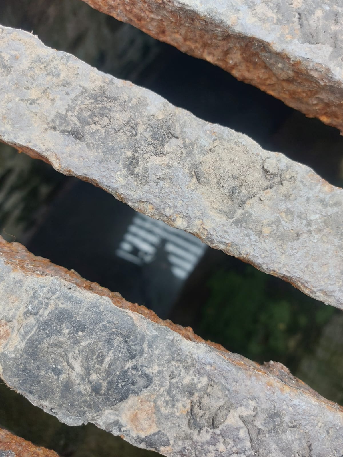 Troppe perdite idriche e fognarie, 96100lab “degrado tra le vie Sofocle ...