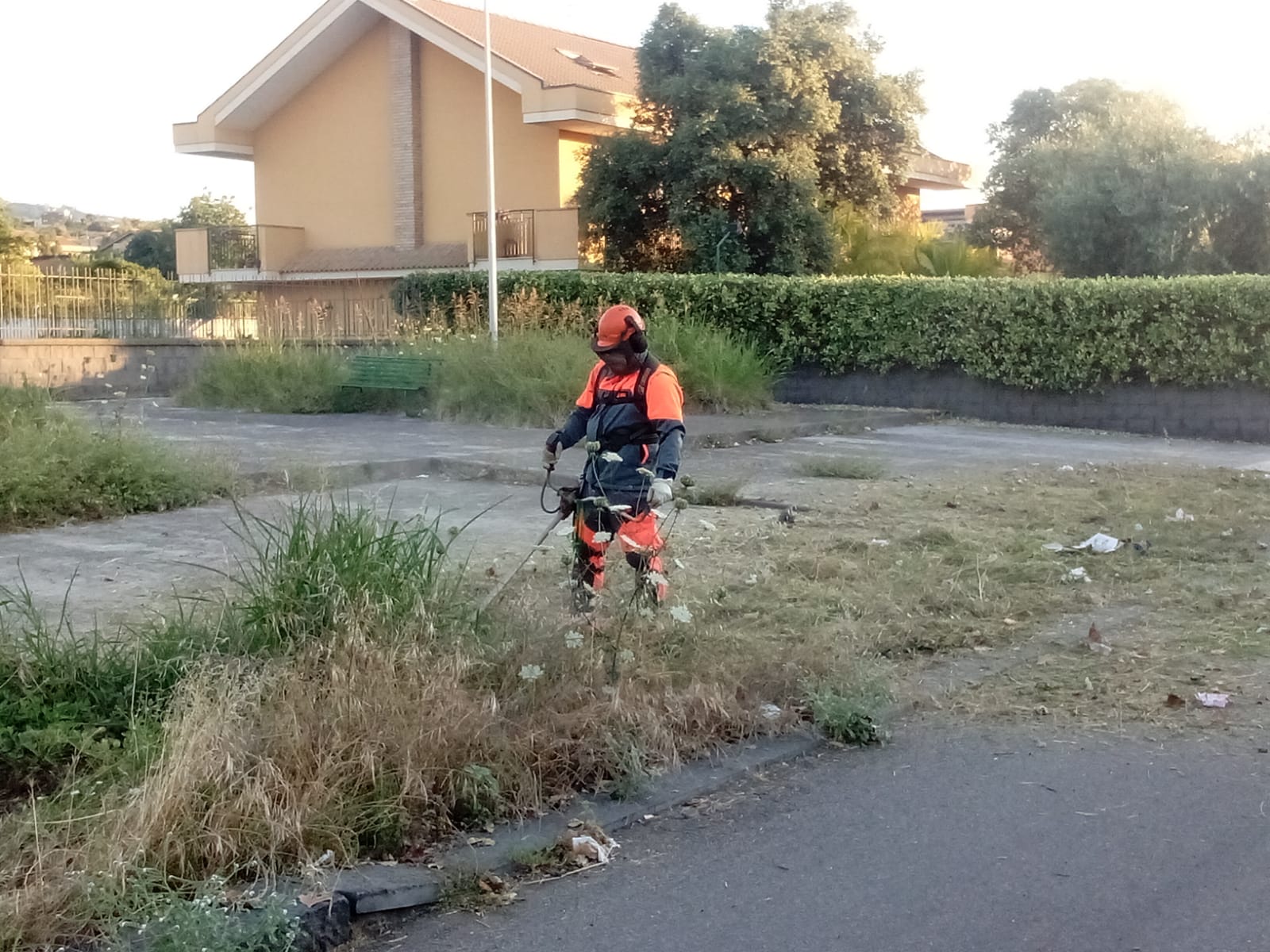 Mascali, convenzione Comune-Azienda Foreste: intensificata la pulizia ...