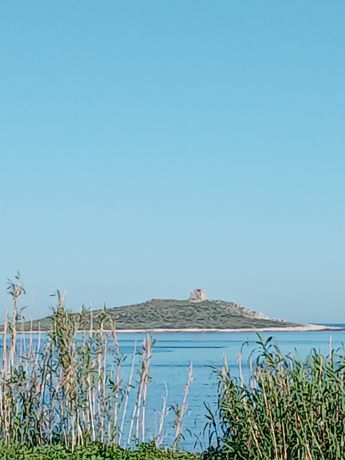 AUTONOMIA E FISCAL COMPACT - BlogSicilia - Ultime notizie dalla Sicilia
