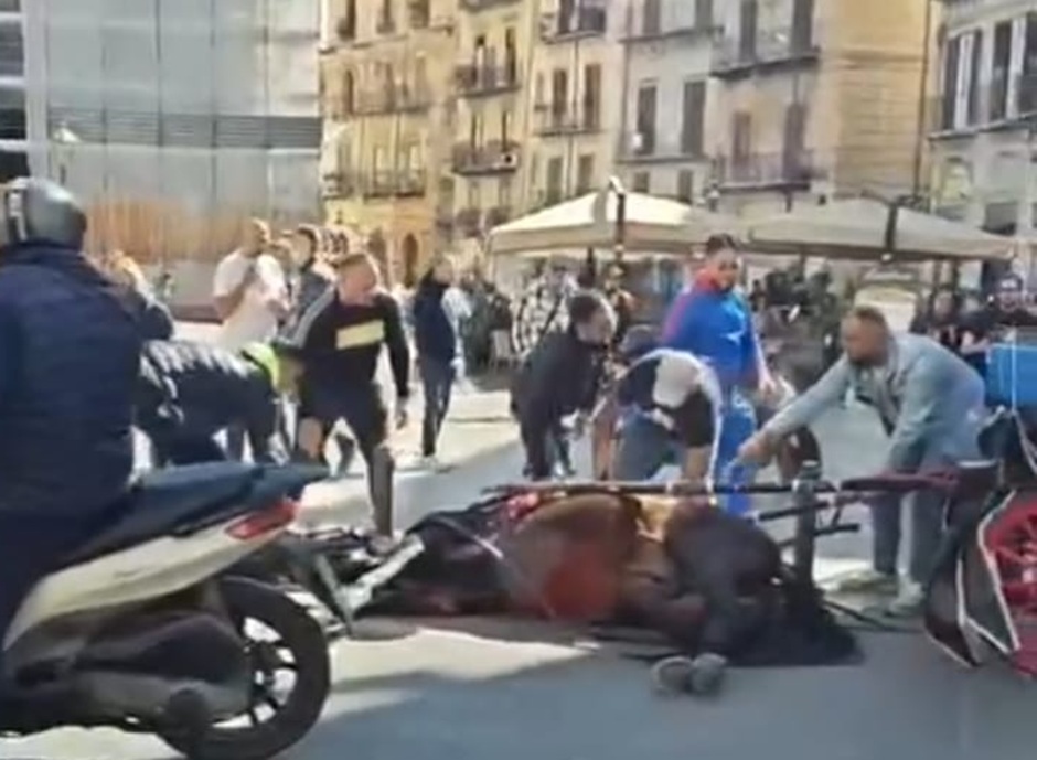 Carrozza con cavallo coinvolta in un incidente in via Roma ...